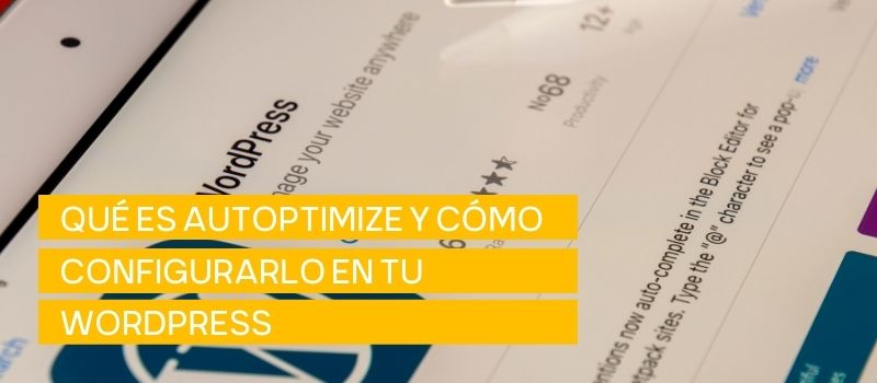 Autoptimize: Cómo configurarlo en WordPress 【Guía】