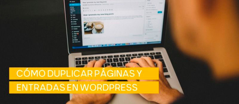 Cómo duplicar páginas y entradas en WordPress【Pasos】
