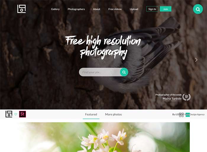 Las mejores páginas para descargar imágenes gratis【Top 10】