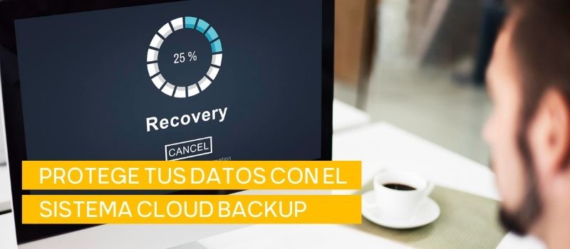 Protege tus datos con un sistema de Backup【Tipos】