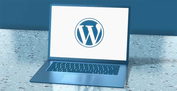 Qué es MySQL | Explicación para principiantes【Dummies】