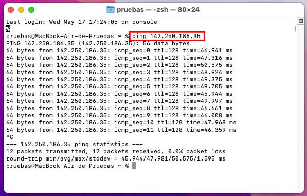 Cómo hacer ping a una IP Windows macOS y Linux