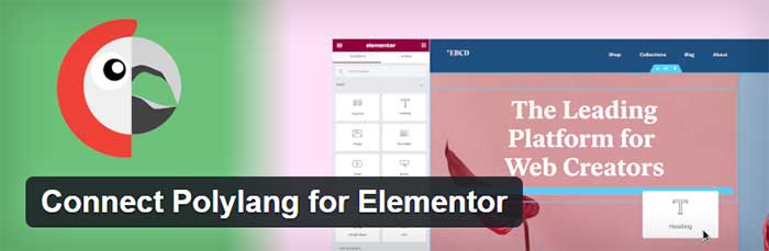 Polylang Plugin para traducir tu web 【 WordPress