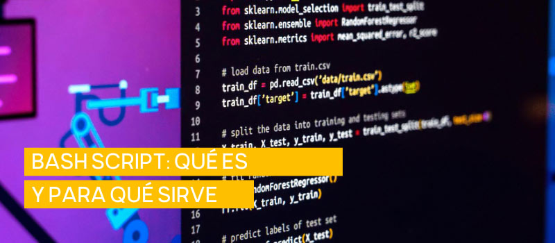 Guía básica de Bash script en Linux y VPS【Ejemplos】