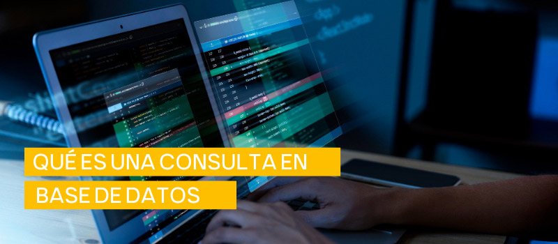 Qué son las consultas en base de datos en mi web 【Guía】