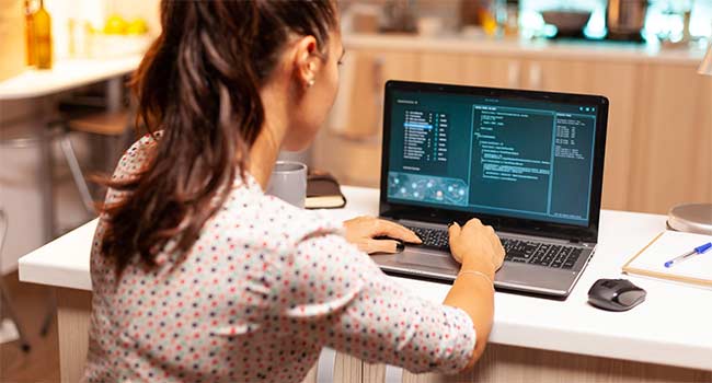 Localhost: Tu servidor personal para desarrollo【Guía】