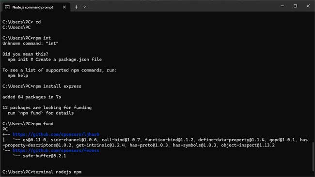 Qué es NPM y cómo funciona y cómo usarlo【Guía】