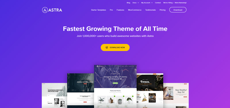 Los mejores temas para utilizar con Elementor 【Top 7】